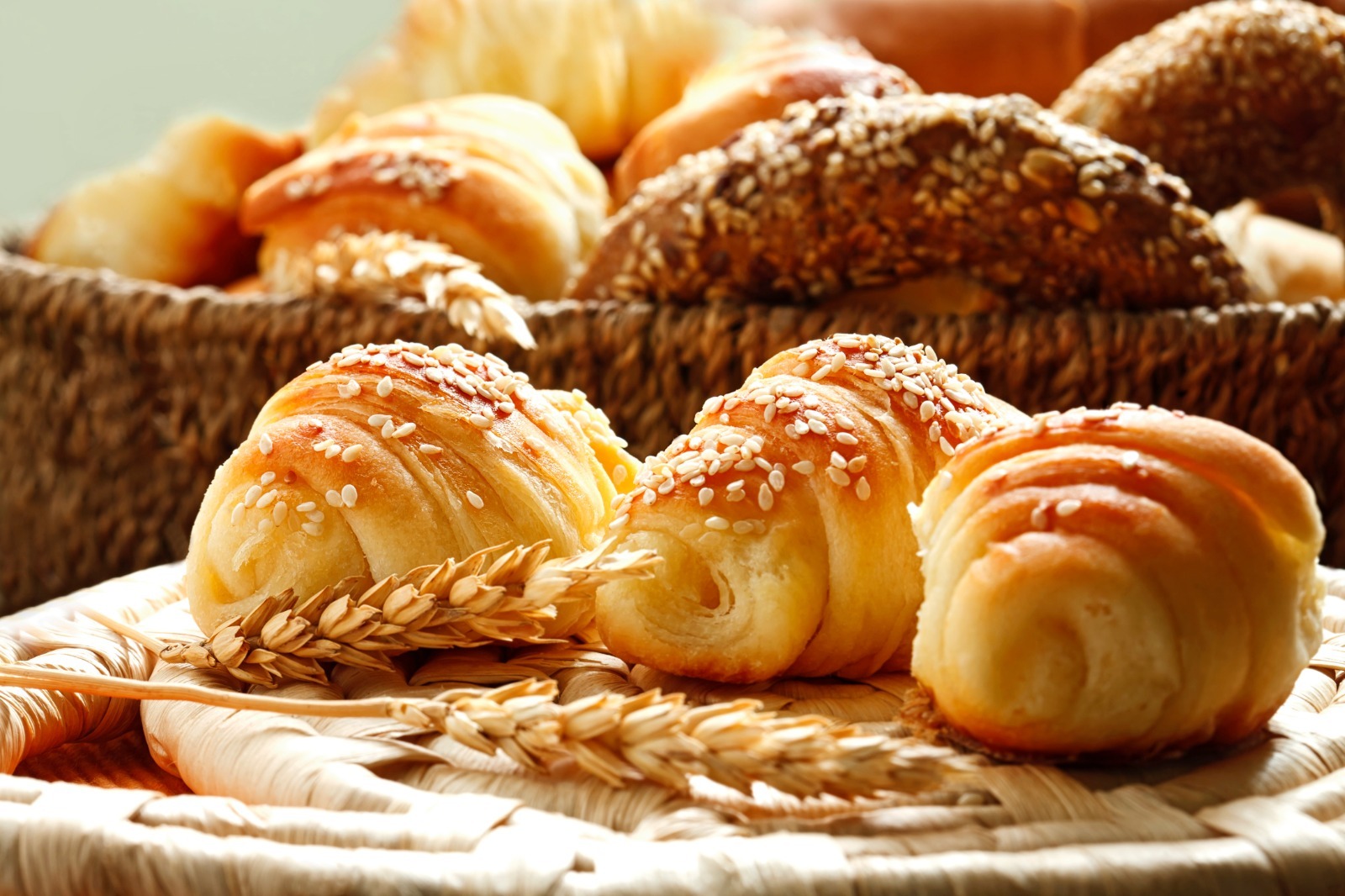 FILMA®, Produk Terbaik untuk Bisnis Roti Anda | Smartpluspro